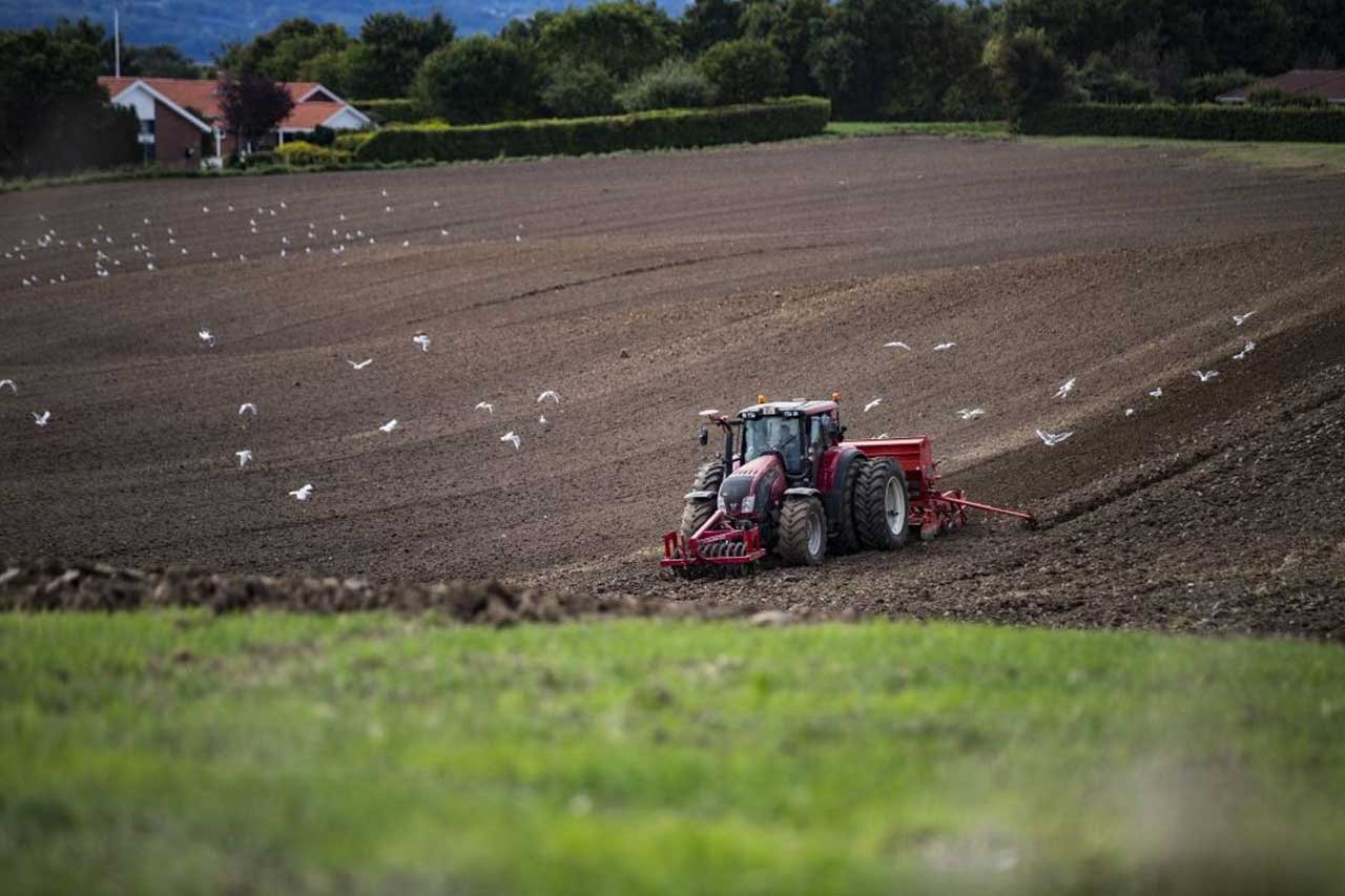 SEGES Innovation creates the future of agriculture with AI and MLOps